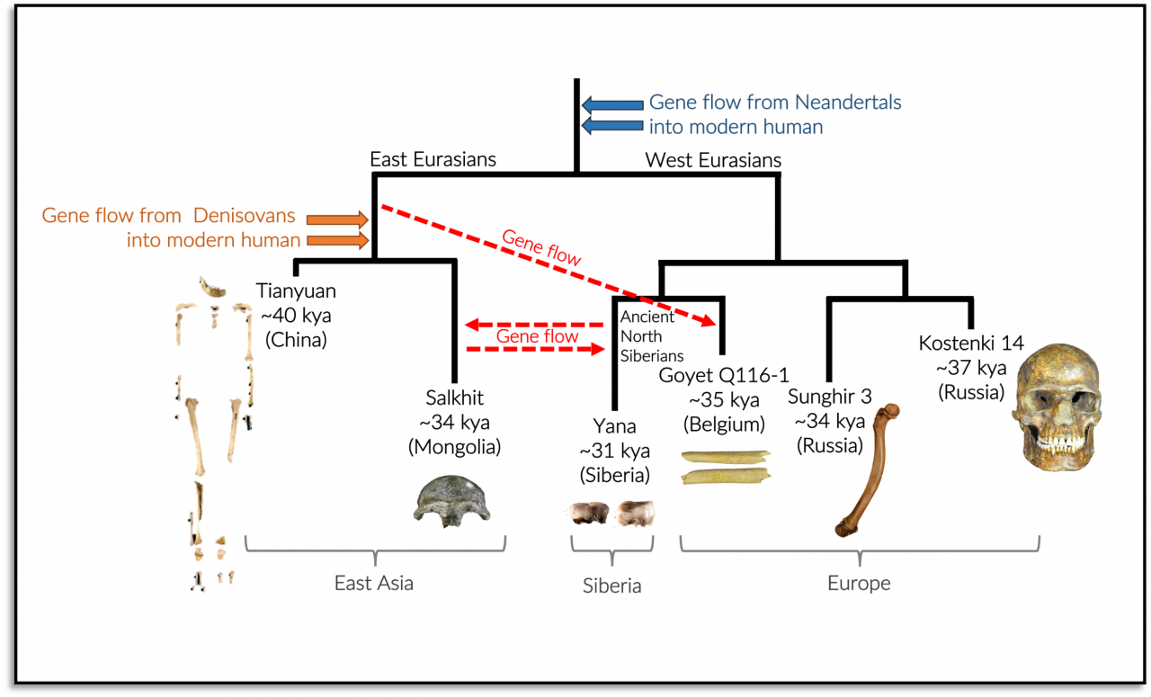 Massilani Lab | Ancient DNA at Yale University