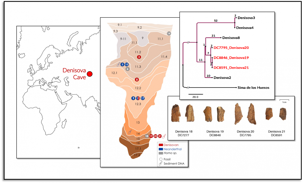Massilani Lab | Ancient DNA at Yale University